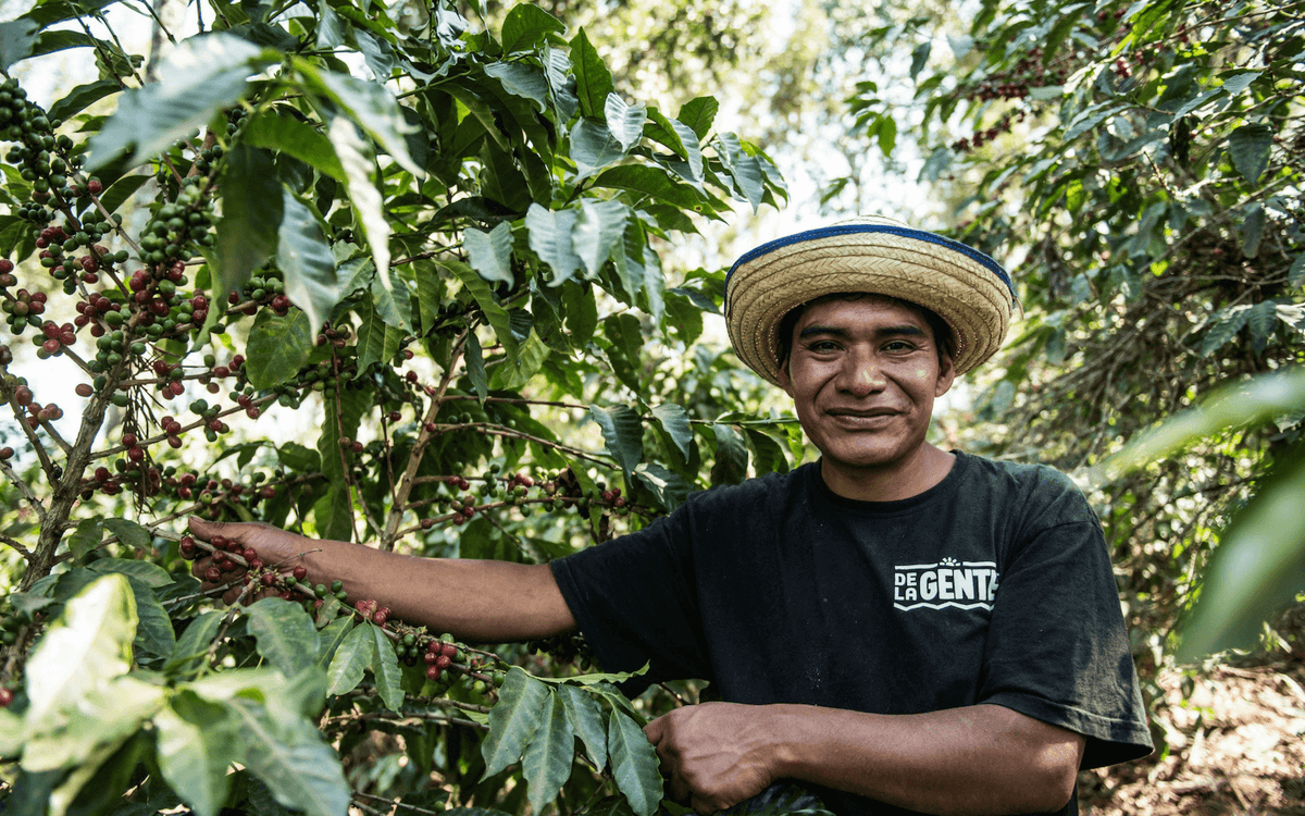 Coffee Roasted Daily | Out Of The Grey Coffee®