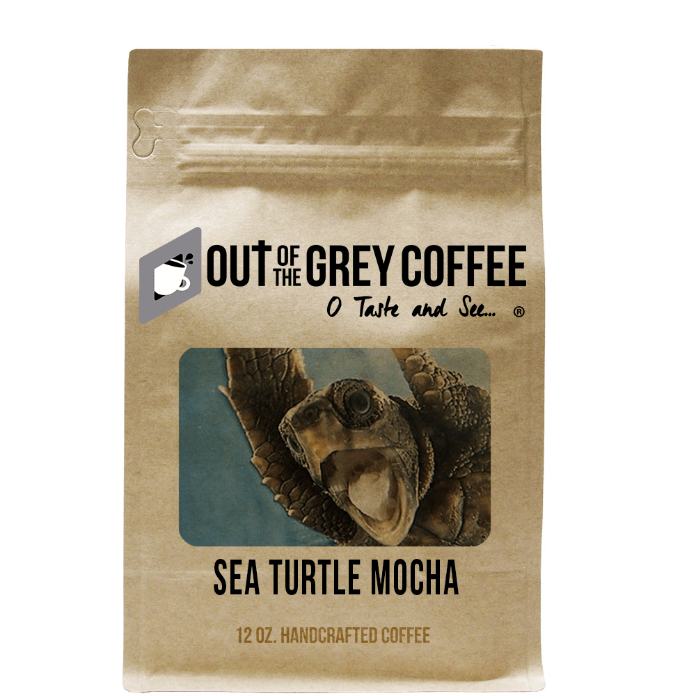 Sea Turtle Mocha™ - Flavored Coffee - Coffee Roasted Daily - Out Of The ...